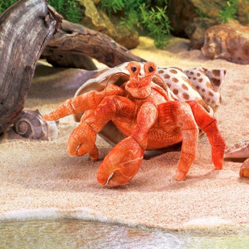 FOLKMANIS PUPPETS Rak pustovník 33 cm (pohyblivý plyšák na ruku)