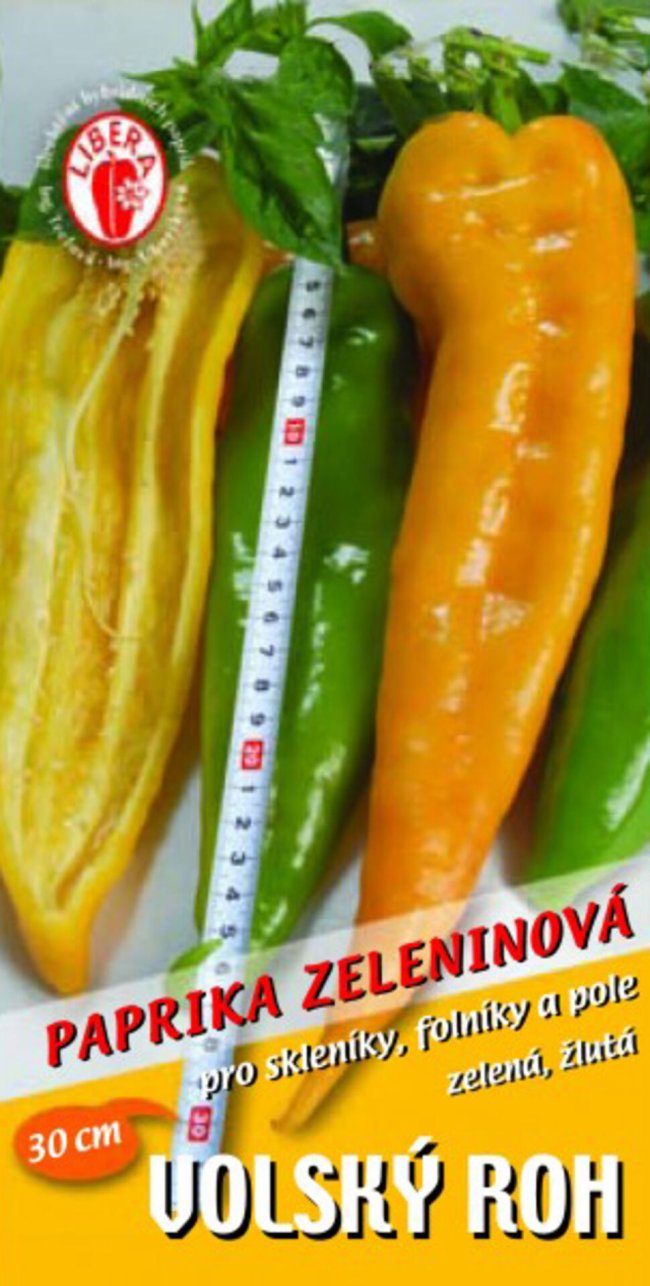 Paprika - Volský roh (10 semien)